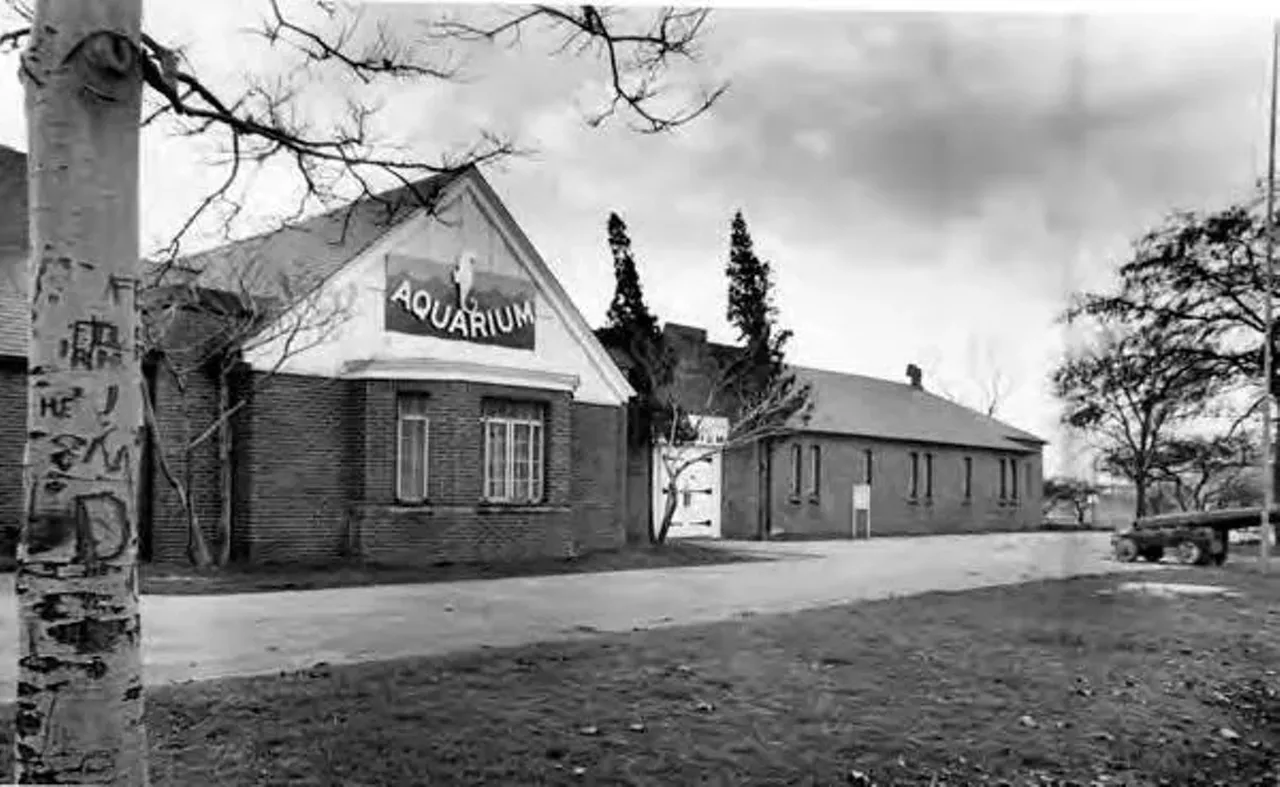 20 Vintage Photos of Cleveland's First Aquarium | Cleveland | Cleveland ...