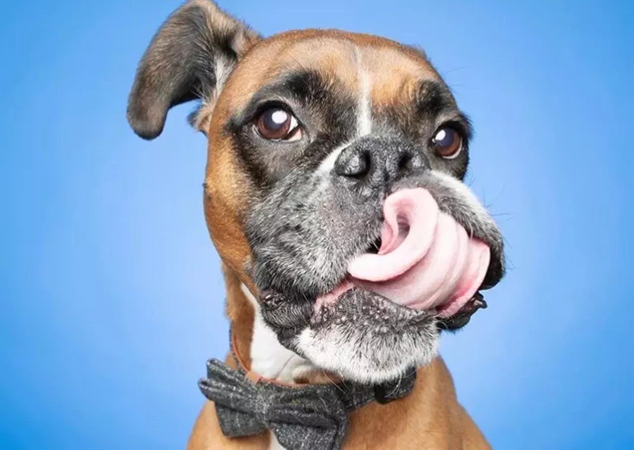 35 Cleveland Photographers You Should Be Following on Instagram ...