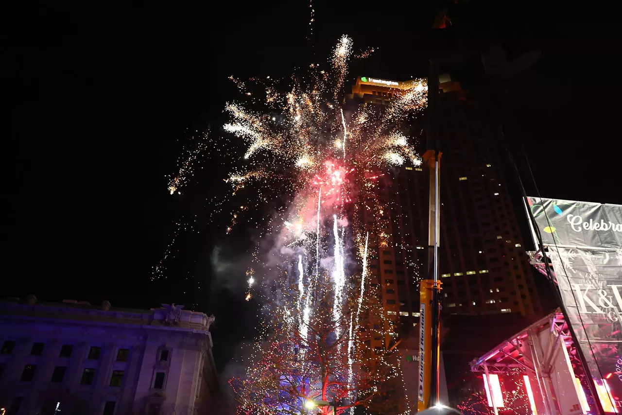 Photos From the Annual Winterland Holiday Tree Lighting on Public ...