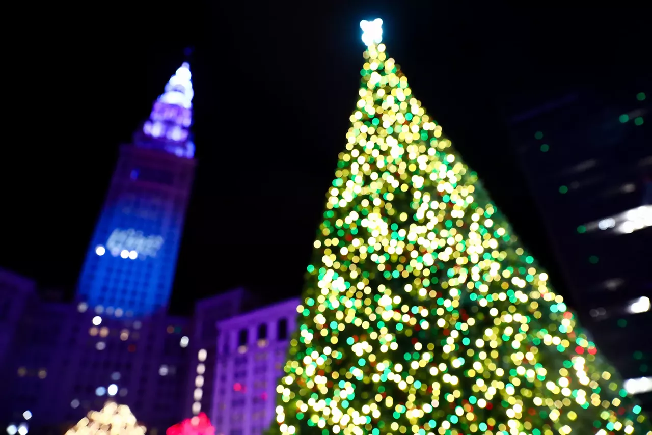 Photos From the Annual Winterland Holiday Tree Lighting on Public ...