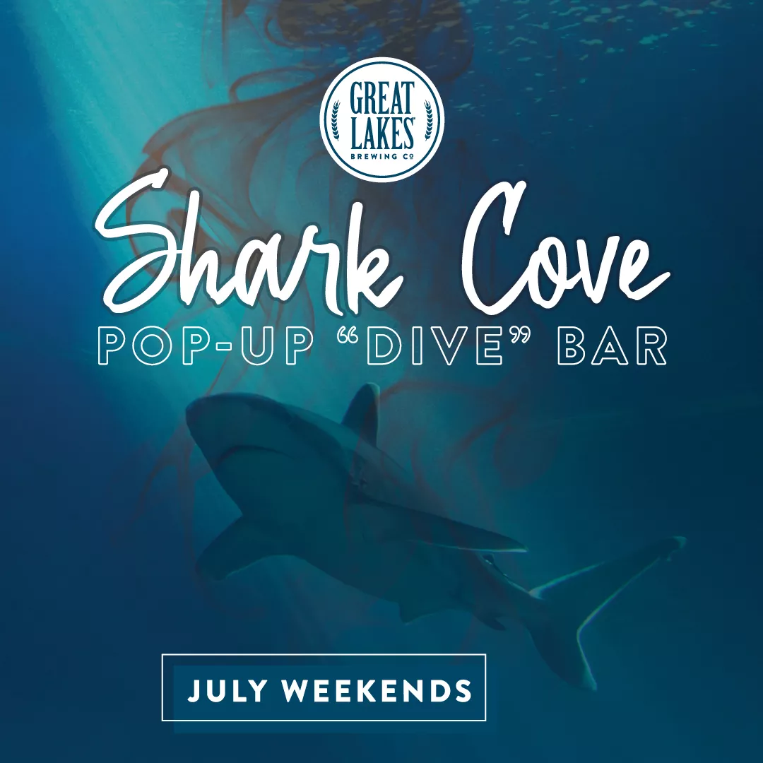Shark Cove Pop-up "Dive" Bar | Great Lakes Brewing Company | Food/Drink ...