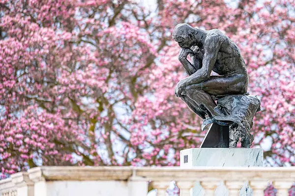 Sources: Cleveland Cherry Blossoms to Hit Peak Bloom in Early April ...